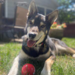 Meet Our Staff – Work Light Productions